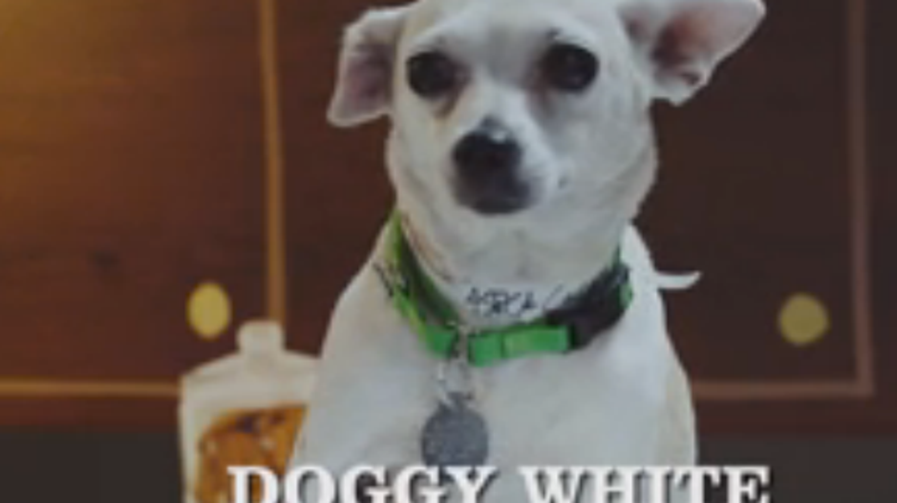'Golden Girls' Remake With Senior Dogs Is Beyond Adorable | HuffPost