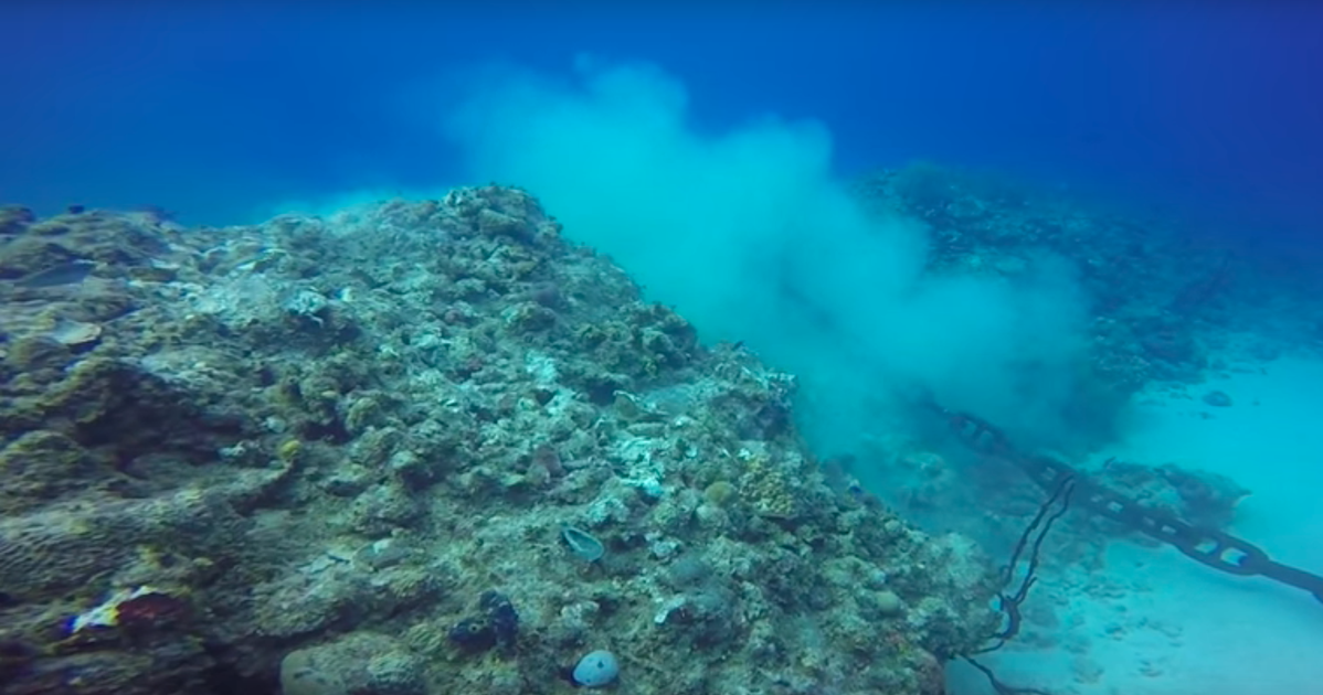 Video Shows Coral Reef Being Destroyed In Seconds By Cruise Ship's ...