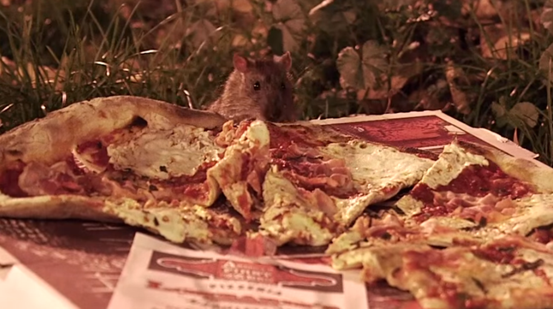 Watch Pizza Rats Decide Which Is New York's Best Pie | HuffPost