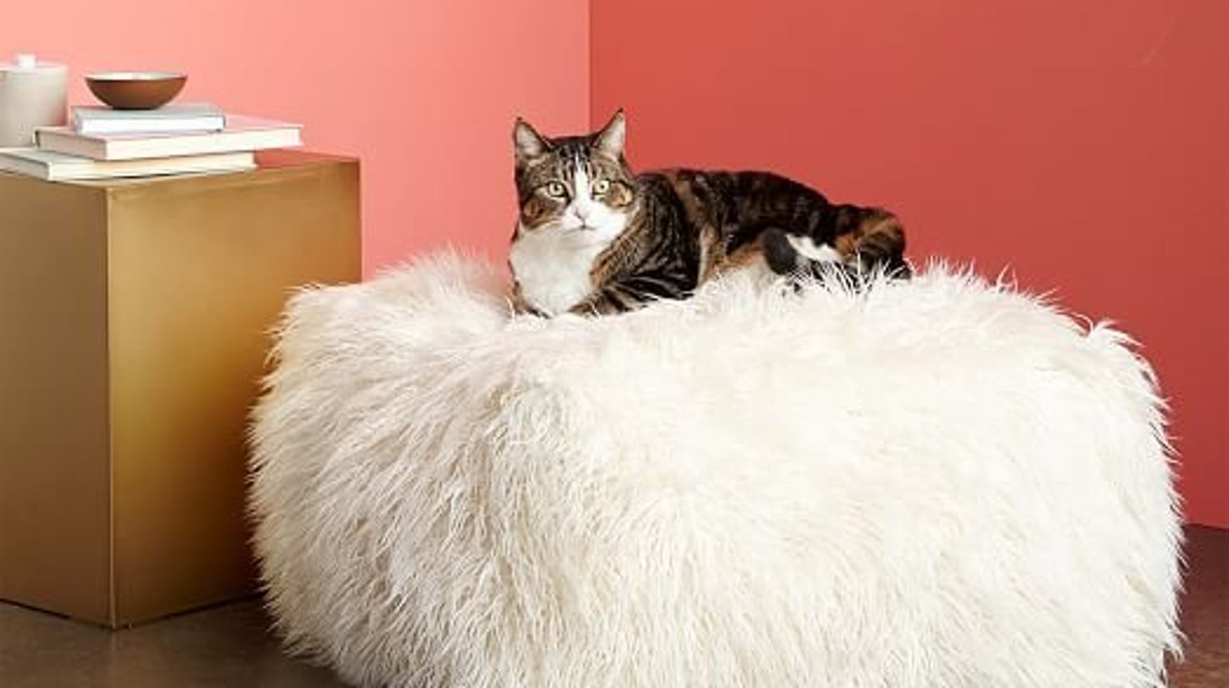 15 Warm And Fuzzy Items You Need To Skip Winter And Hibernate ...