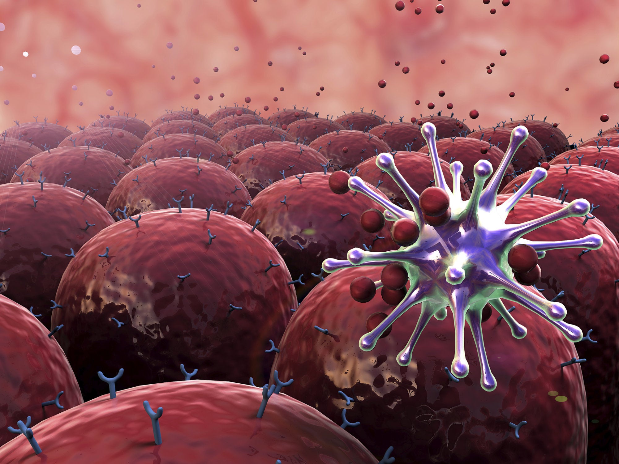 Artificial Immune Systems May Be The Future Of Cybersecurity HuffPost Artificial Immune Systems May Be The Future Of Cybersecurity HuffPost