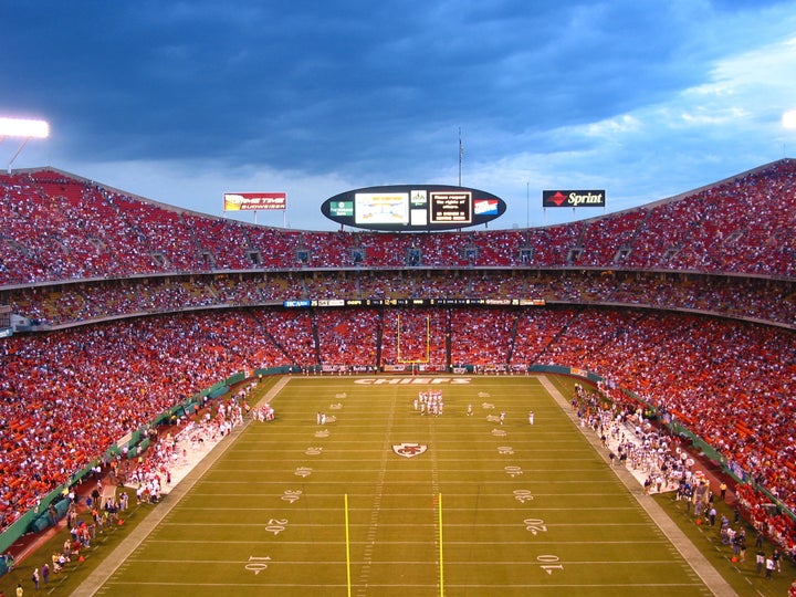 Football Fan Cuddles Cat During Chiefs-Raiders Game At Arrowhead ...