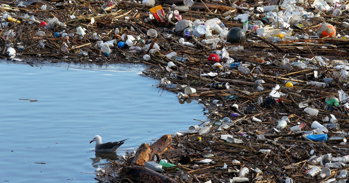 WATCH: This Is How To Make The World Waste-Free | HuffPost Impact