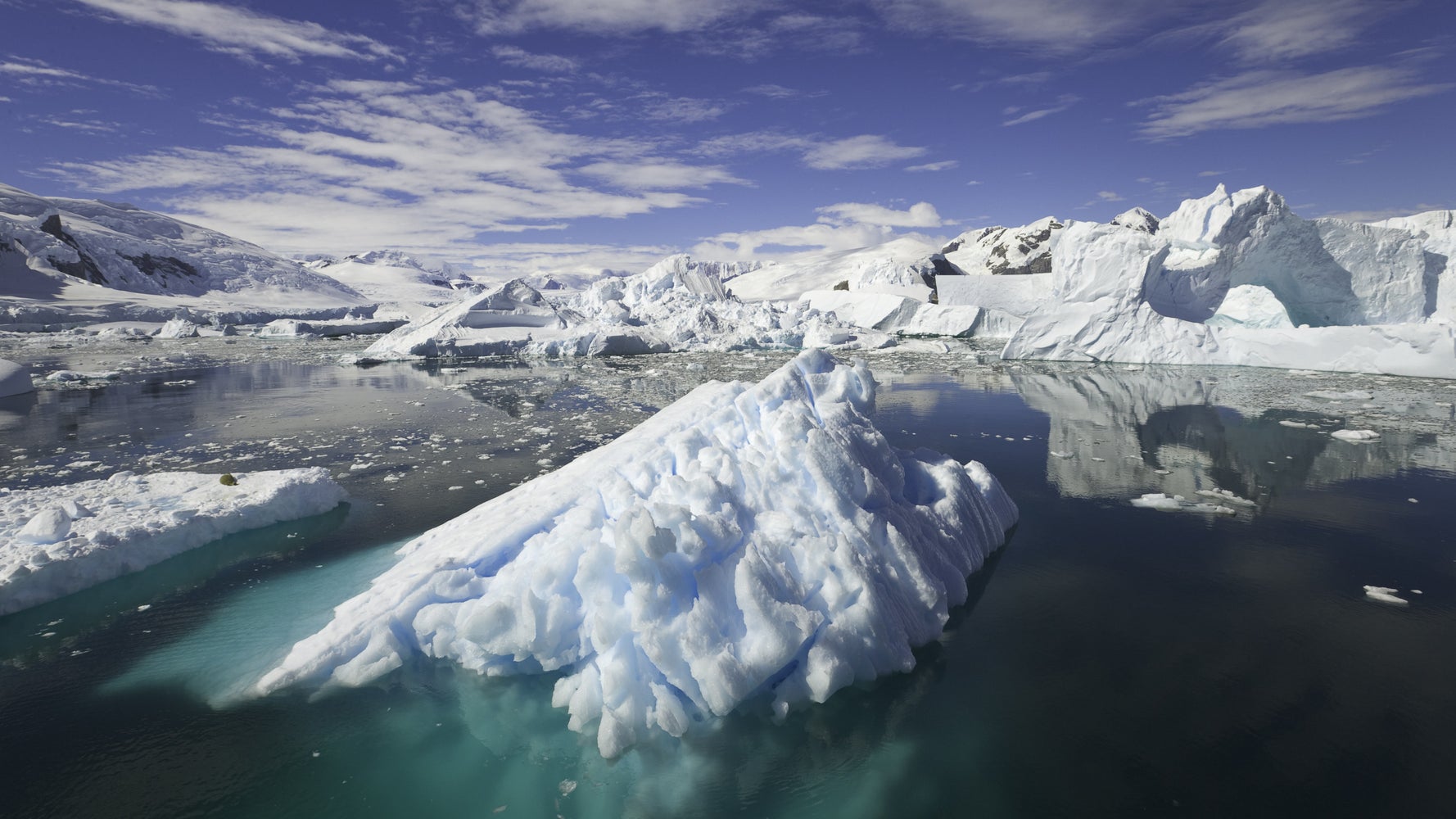 How Melting Giant Icebergs May Help Slow Climate Change (Just A Little ...