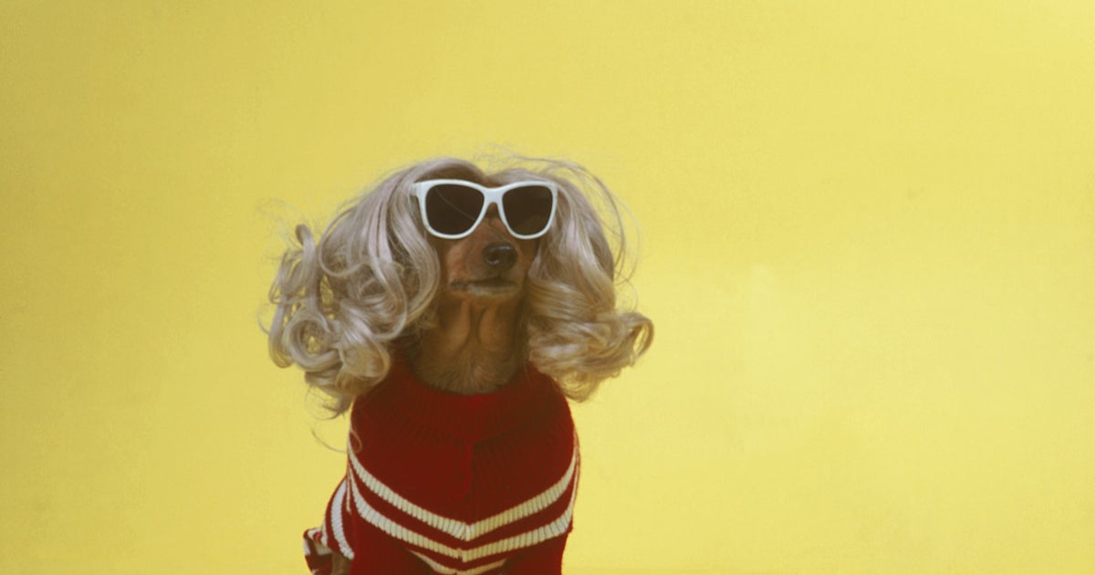 11 Things That Will Make You Laugh, Just Because | HuffPost Life