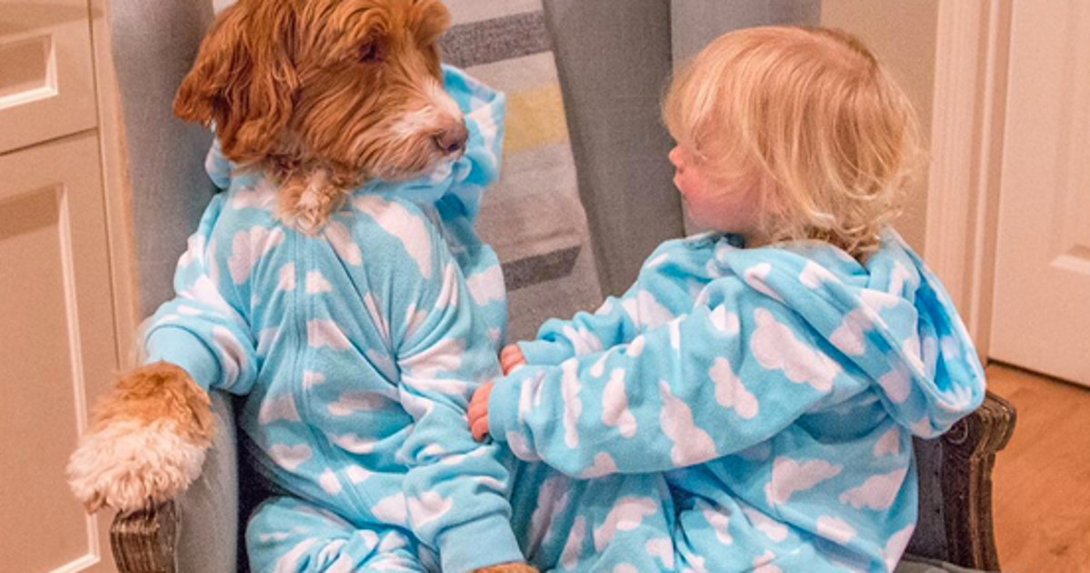 9 Painfully Cute Photos Of A Toddler And Dog Wearing Matching Outfits ...