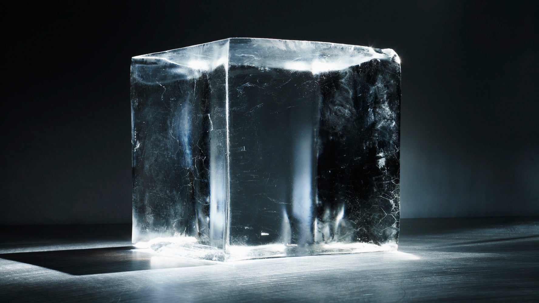 Animals Kept In Deep Freeze For 30 Years Brought Back To Life | HuffPost