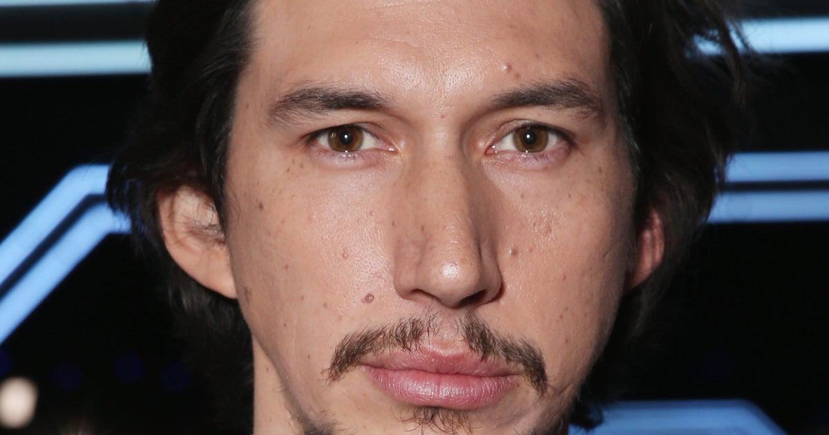 Cat Who Looks Like Adam Driver Gets Adopted, Thanks To Viral Fame ...