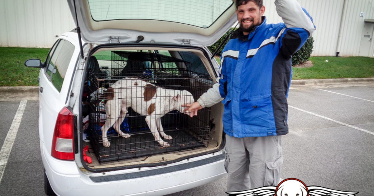 Amazing Dog Rescue Group Does So Much With So Little in Wilson, NC ...