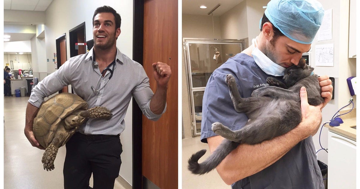 Pet Got A Cold? This Hot Vet Will Make Fido Feel Purr-fect Again ...