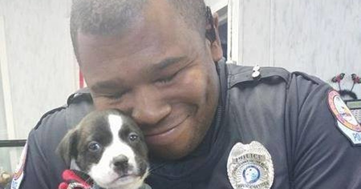 Precious Photo Captures Moment Cop Fell In Love With Puppy While On The ...