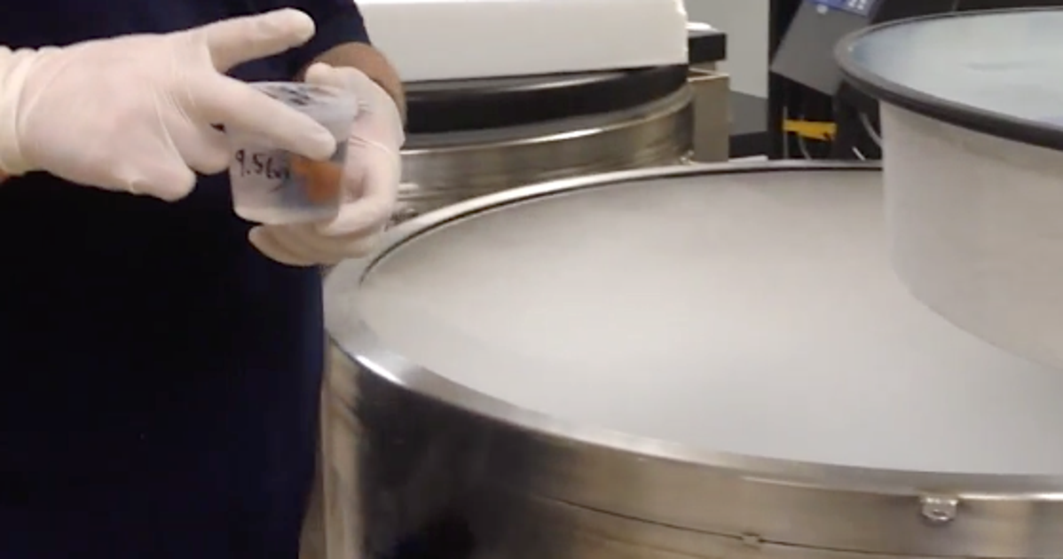 Cryogenically Frozen Rabbit Brain Hailed As Scientific First | HuffPost ...