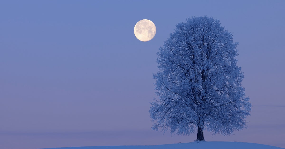 The Gorgeous 'Snow Moon' You May Have Missed This Week | HuffPost Impact