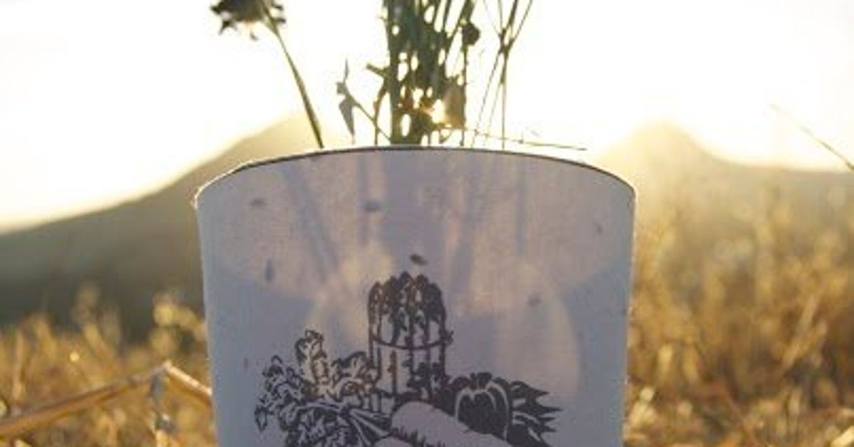 Introducing The World's First Plantable Coffee Cup | HuffPost Videos