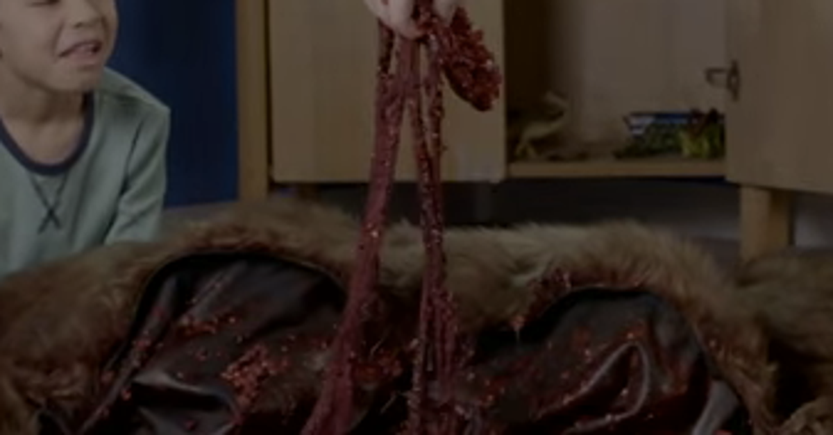 Every Kid Needs A Bloody, Furry 'Revenant' Sleeping Bag | HuffPost ...