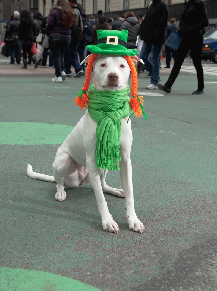 The Stories Behind Your Favorite St. Paddy’s Traditions Might Surprise ...