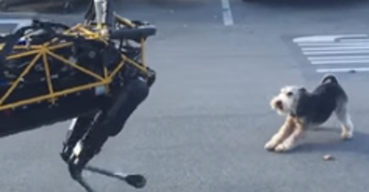Real Dog Vs. Robot Dog Is The Cutest Fight For Civilization Ever ...