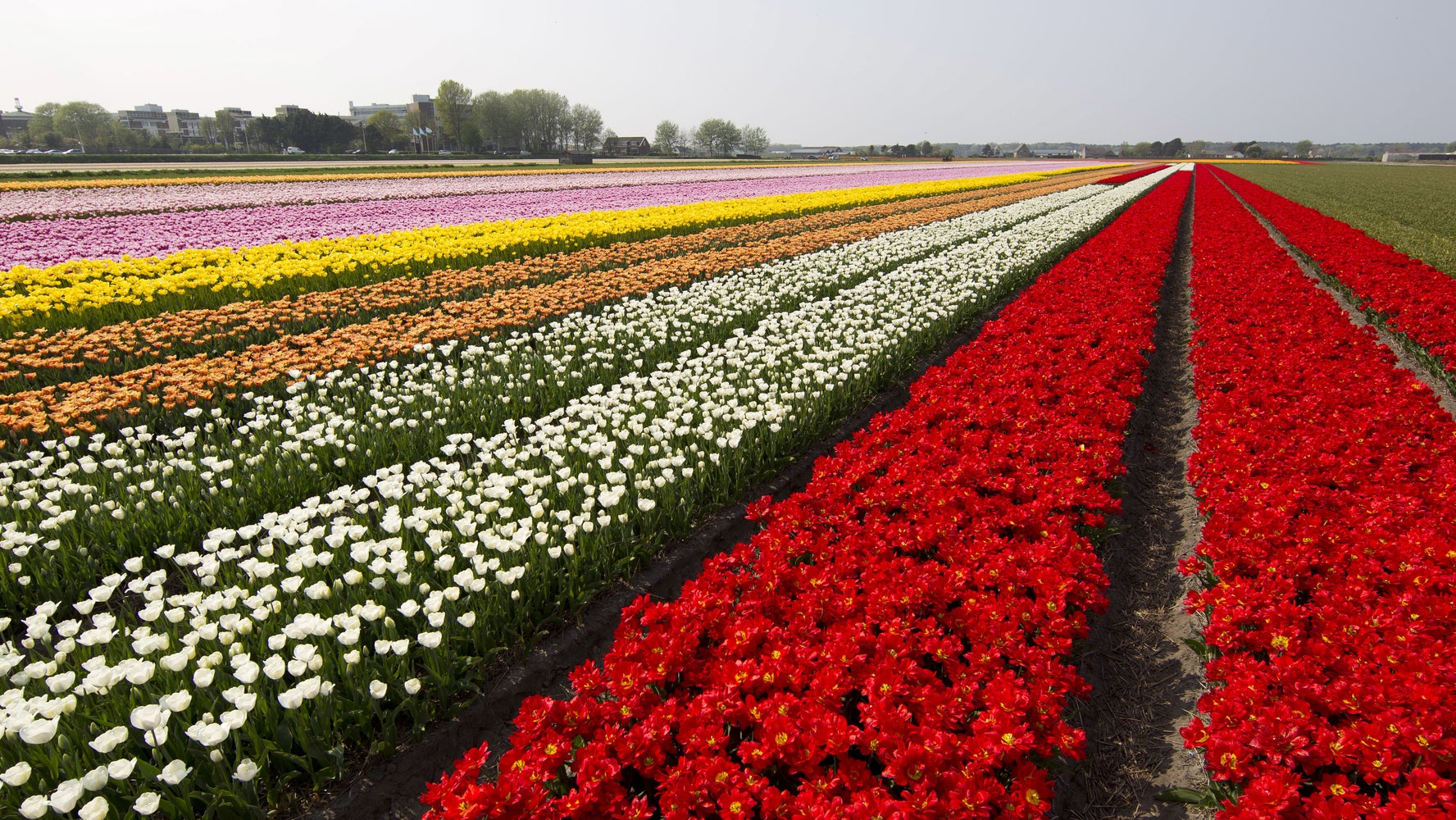 10 European Gardens You Have To Visit In Your Lifetime | HuffPost Life