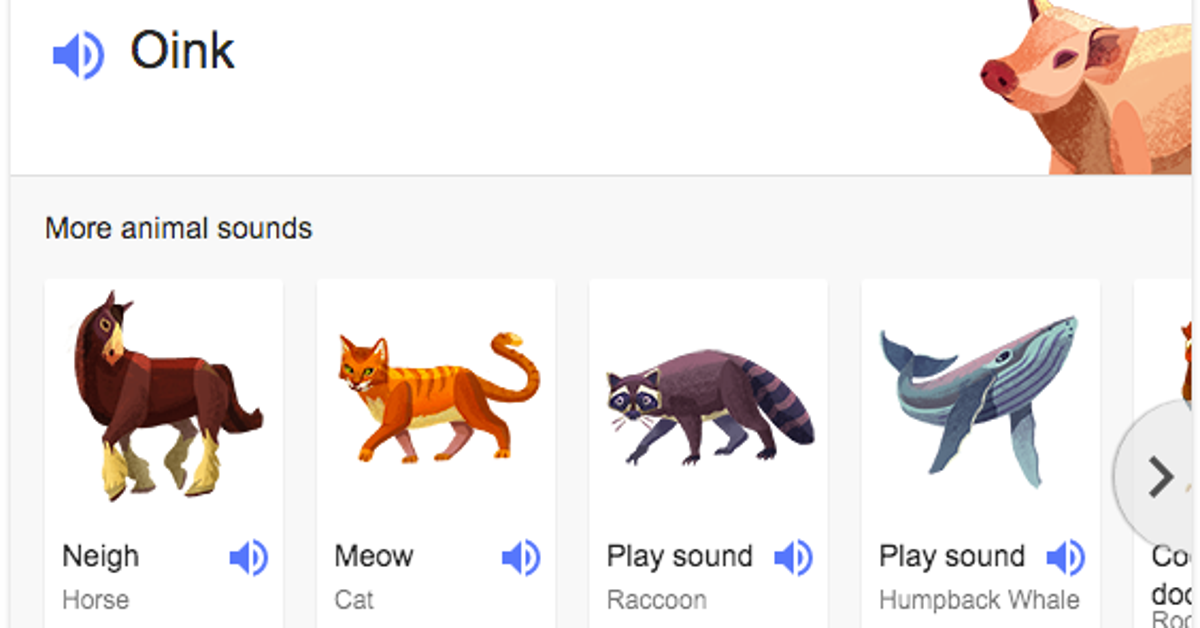 Animal Lovers Will Squeal Over Recent Google Update | HuffPost Life