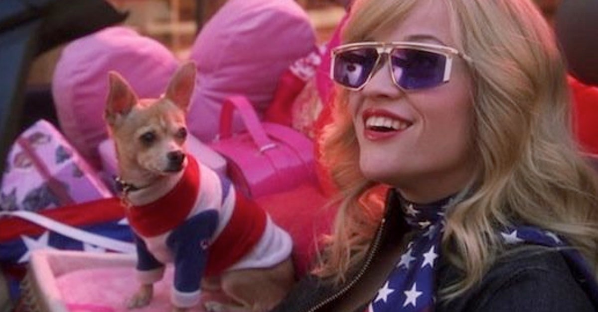 Beloved 'Legally Blonde' Dog Bruiser Woods Dies At 18 | HuffPost ...