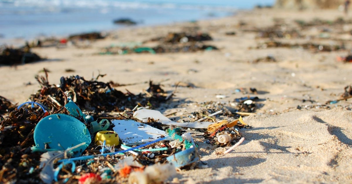 Volunteers Cleaned Up The UK's Beaches. Here's What They Found ...