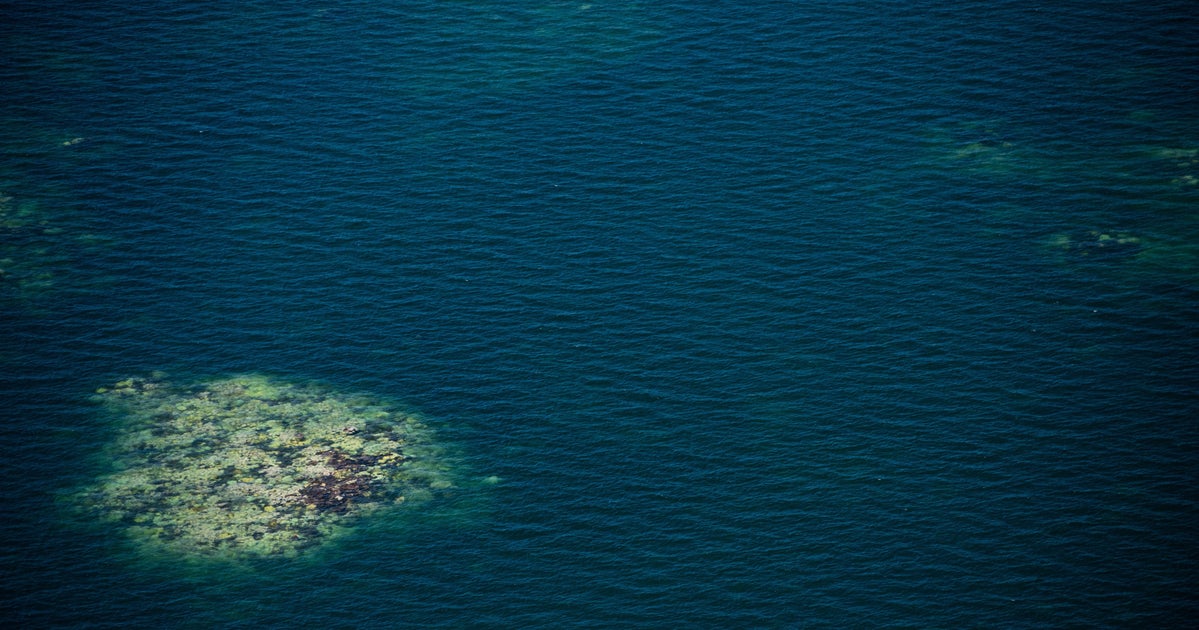This Is What Climate Change Has Done To The Great Barrier Reef ...