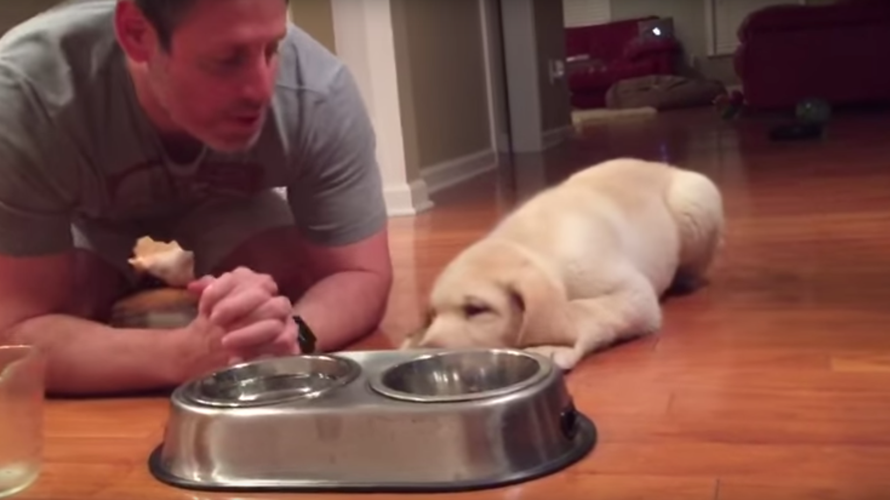 This Dog Praying With His Owner Before Dinner Is The Cutest | HuffPost ...