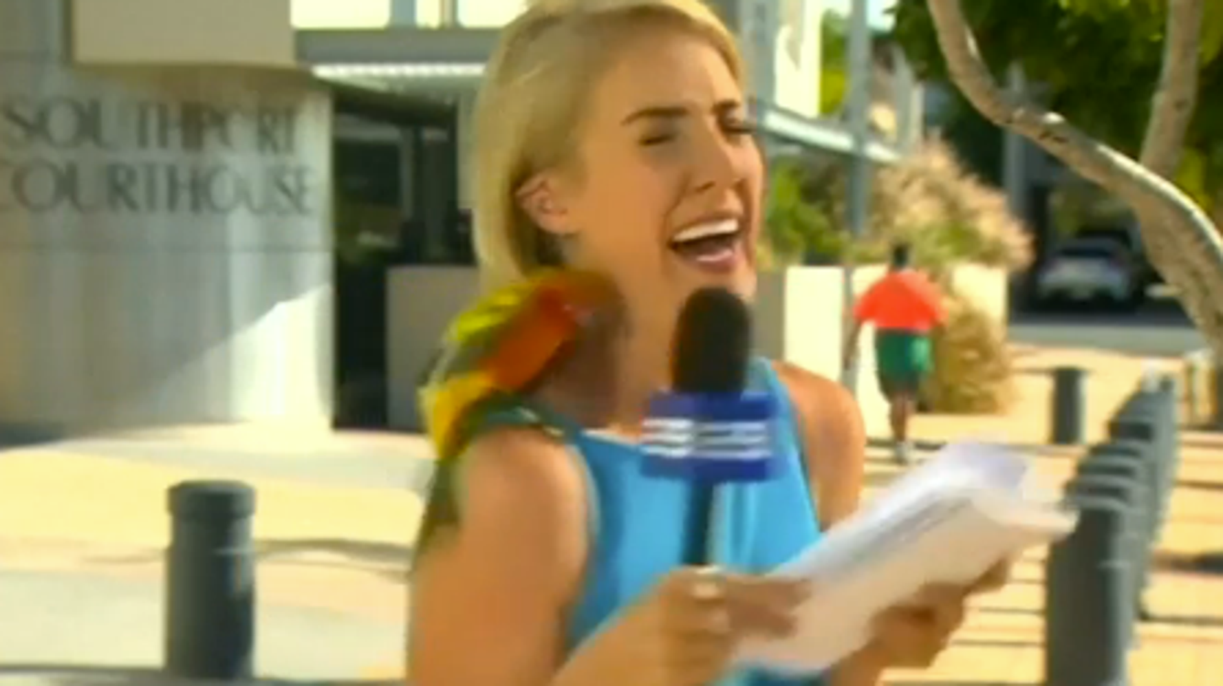 TV Reporter Loses It As Parrot Lands On Her Shoulder Seconds Before ...