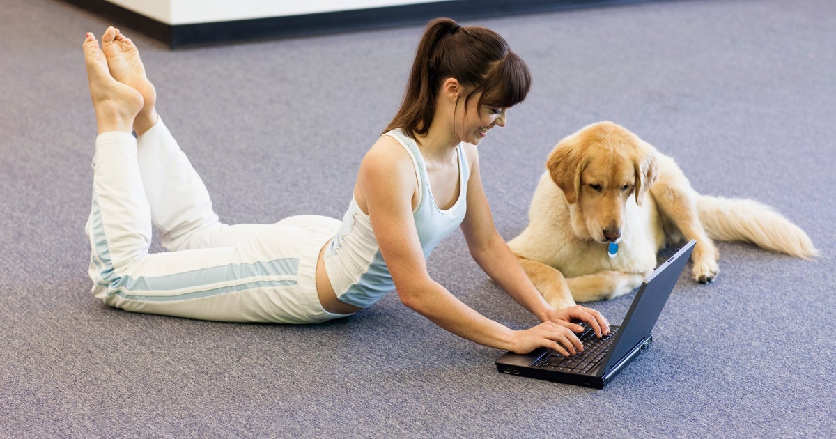 People Really, Really Love Having Dogs At Work | HuffPost Life