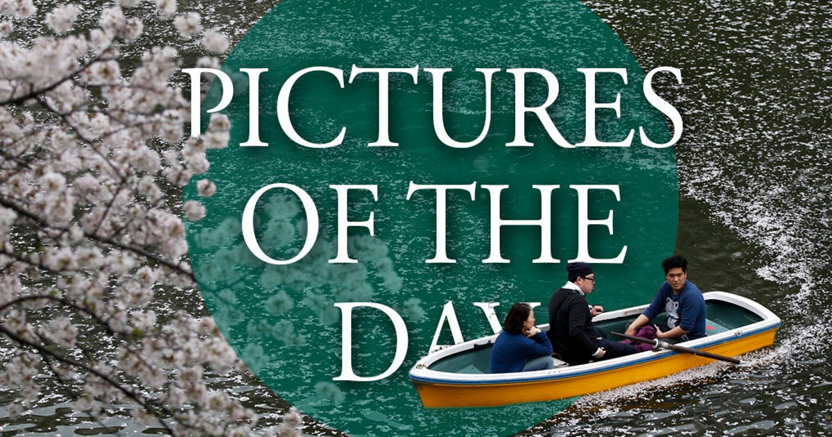 Pictures Of The Day: Monday 4th April 2016 | HuffPost UK News