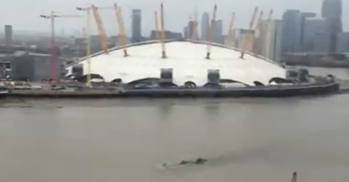 Loch Ness Monster River Thames YouTube Video Has Experts (And Everyone ...