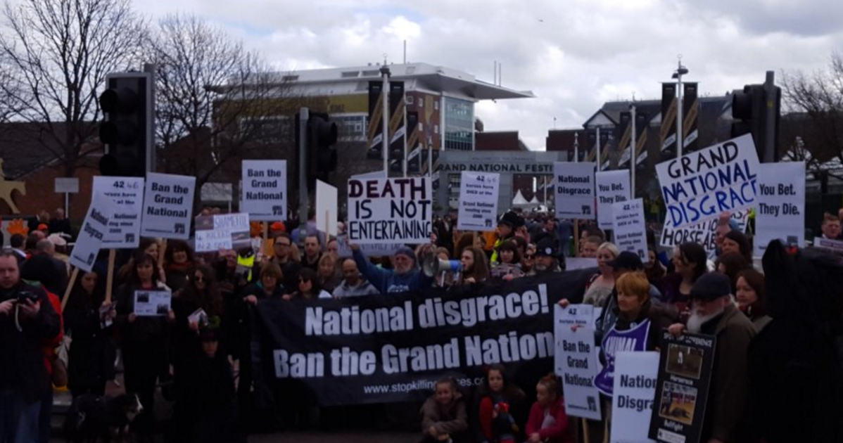 Grand National 2016 Protest Outside Aintree Racecourse | HuffPost UK News