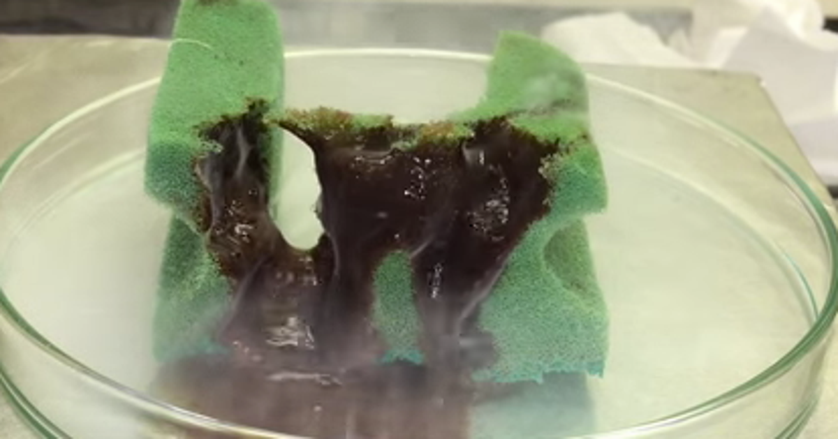 Scientists Dissolve Everyday Objects In Acid, But One Item Surprisingly ...