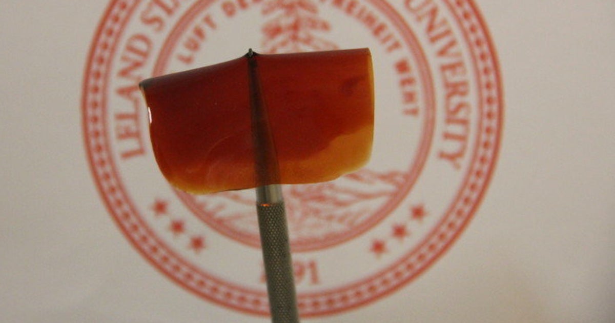 This Self-Healing, Muscle-Like Material Could Revolutionize Prosthetics ...
