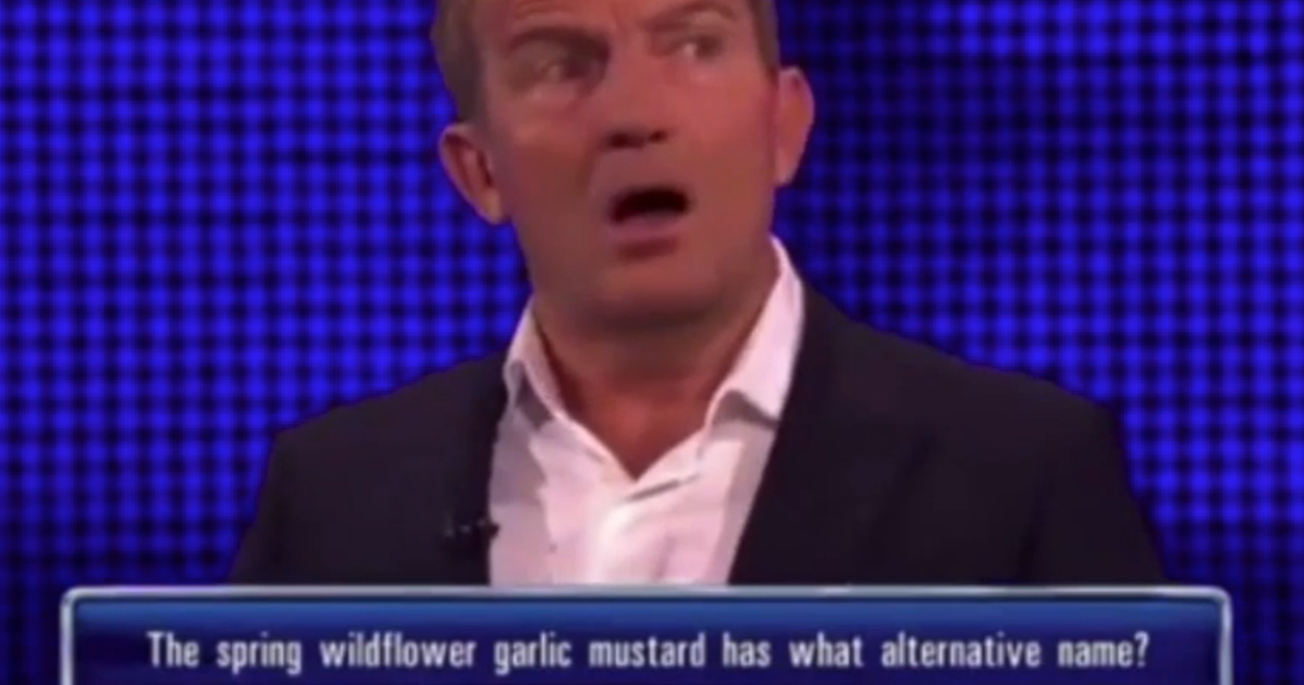'The Chase': Bradley Walsh Gets The Giggles AGAIN Over Cheeky Innuendo ...