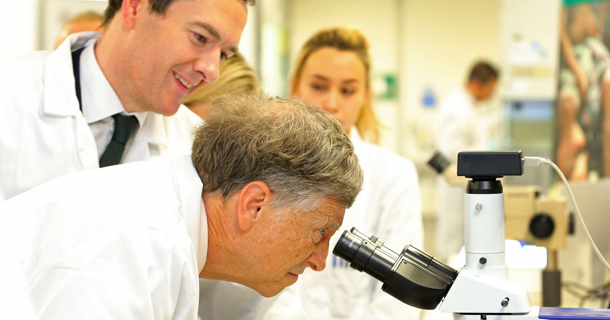 Bill Gates Has A Plan To Eliminate Malaria Once And For All | HuffPost ...