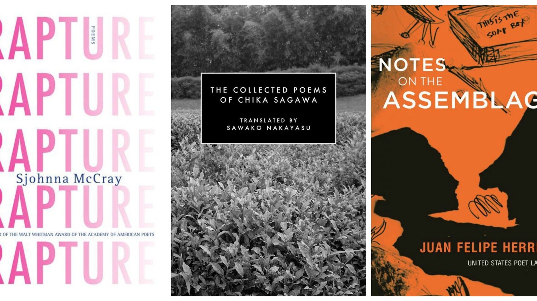 12 Great Poetry Collections To Read During Every Month Of The Year ...