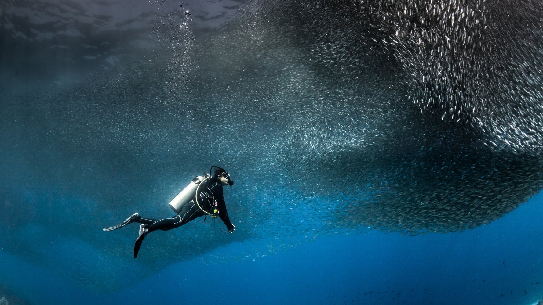 Large Swaths Of The Pacific Ocean May Actually Suffocate In Just 15 ...