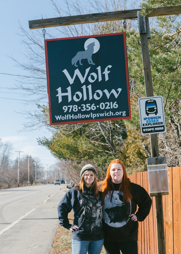 What Exactly Is A Wolf Sanctuary And Why You Need To Care | HuffPost ...