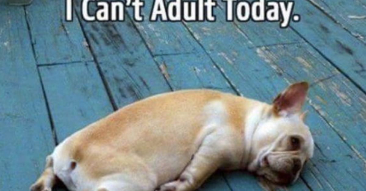 17 Tweets Every Person Who Works Weekends Will Understand | HuffPost ...