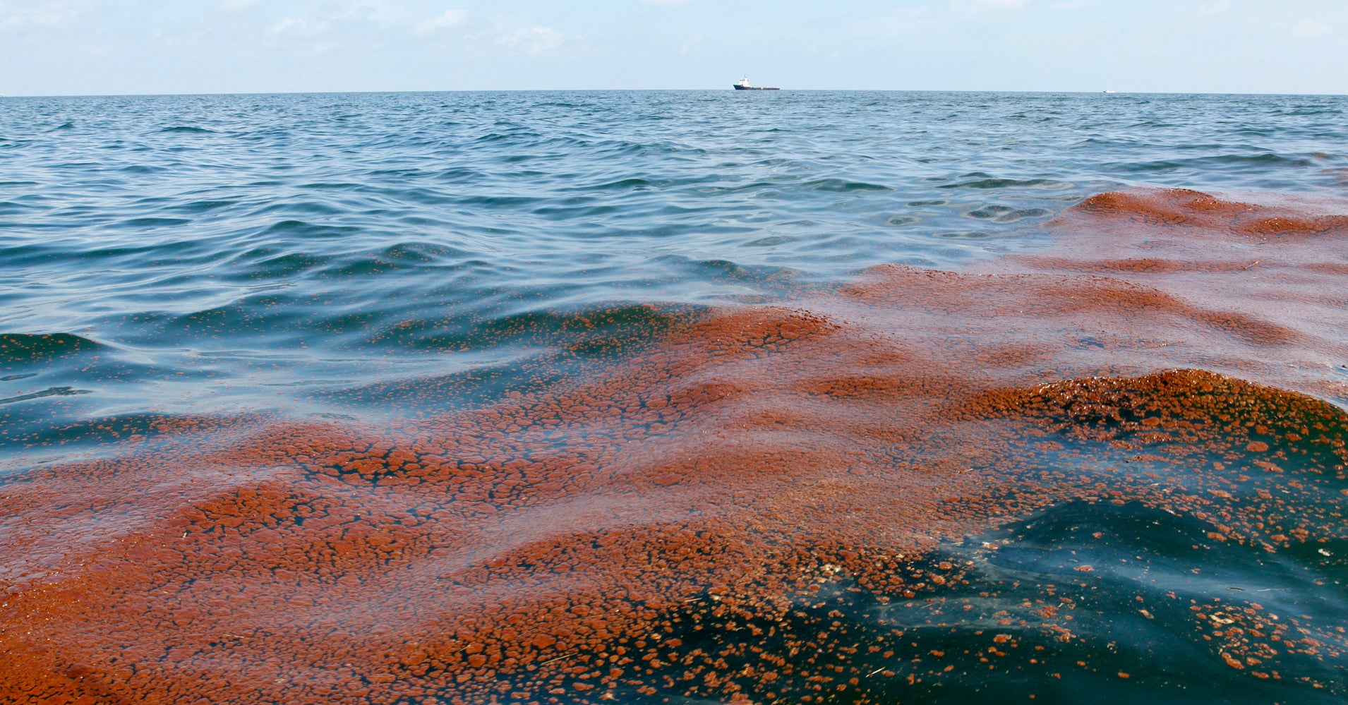 Shell Oil Spill Dumps Thousands Of Barrels Of Crude Into Gulf Of Mexico ...