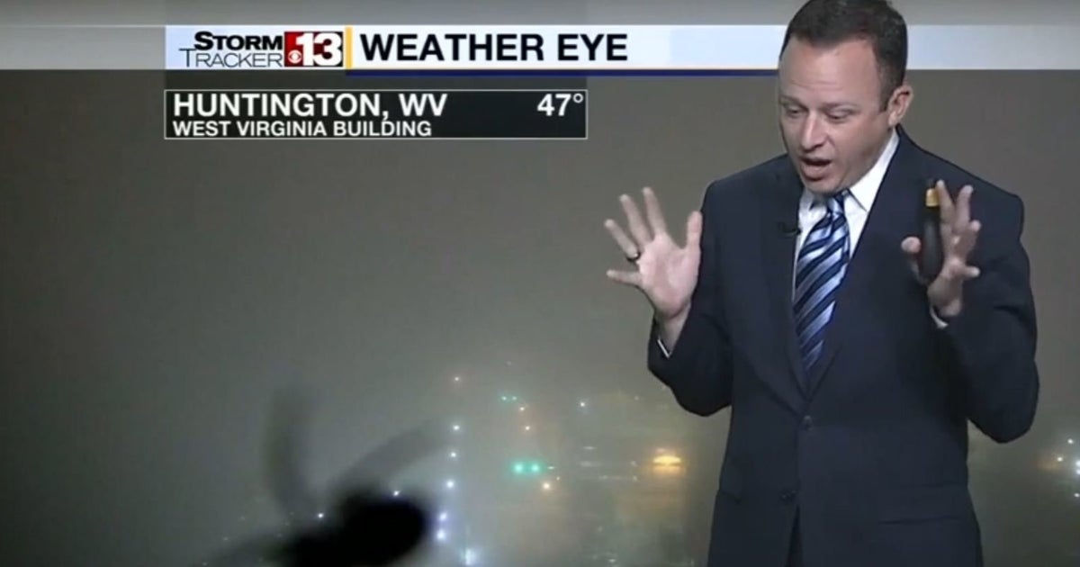Weatherman Freaks Out At Massive Spider On His Map During Forecast ...