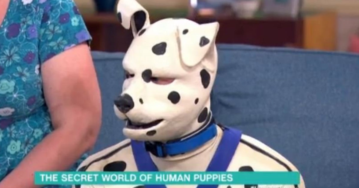 'This Morning': Human Puppy Interview Leaves Viewers In Disbelief ...