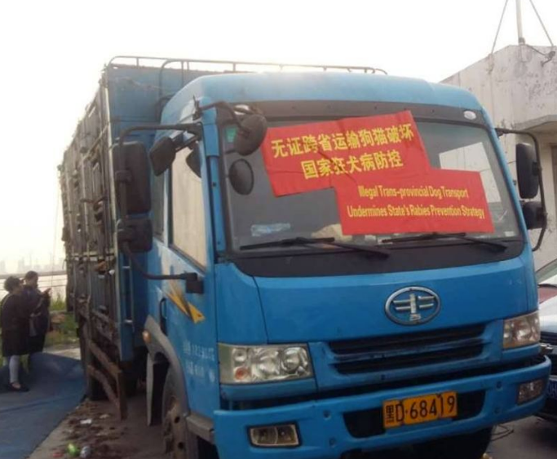 Yulin Dog Meat Festival: 200 Dogs And Cats Rescued From Slaughter ...