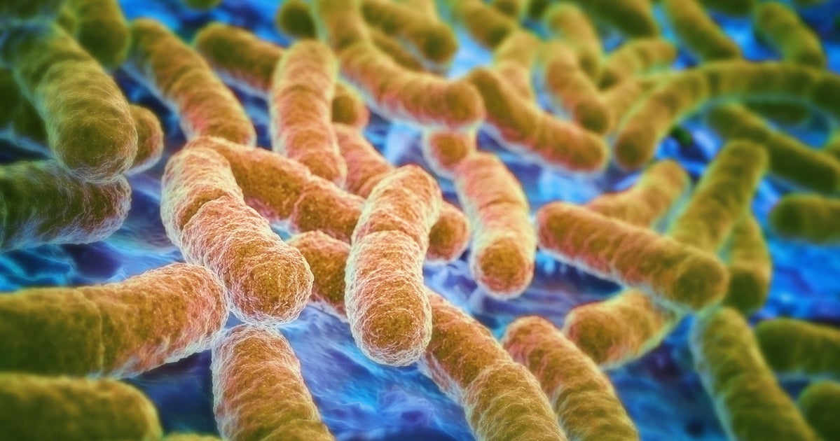 Mutant Superbug Has Been Discovered In The U.S. | HuffPost Life