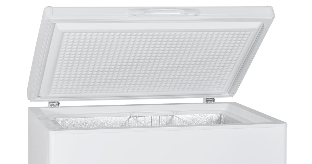 Woman Makes Chilling Discovery After Buying $30 'Time Capsule' Freezer ...