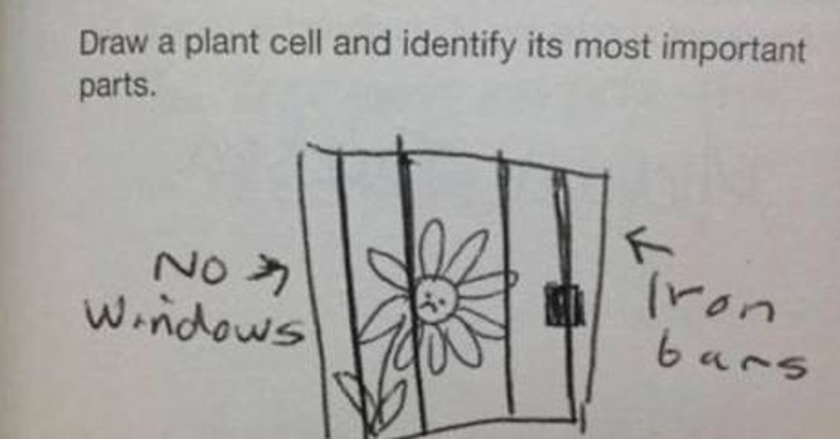 Funny Exam Answers: 48 Kids' Test Papers That Will Make You Belly Laugh ...
