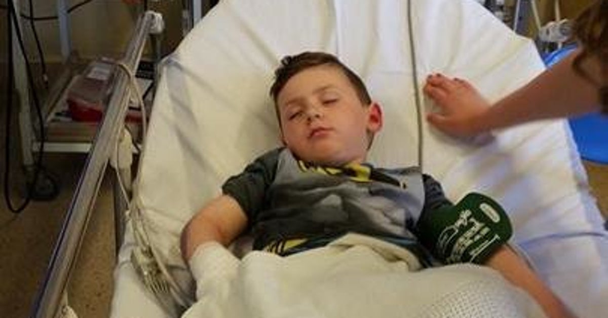 Toddler Bitten By Adder In Wales Is Hospitalised For Five Days ...