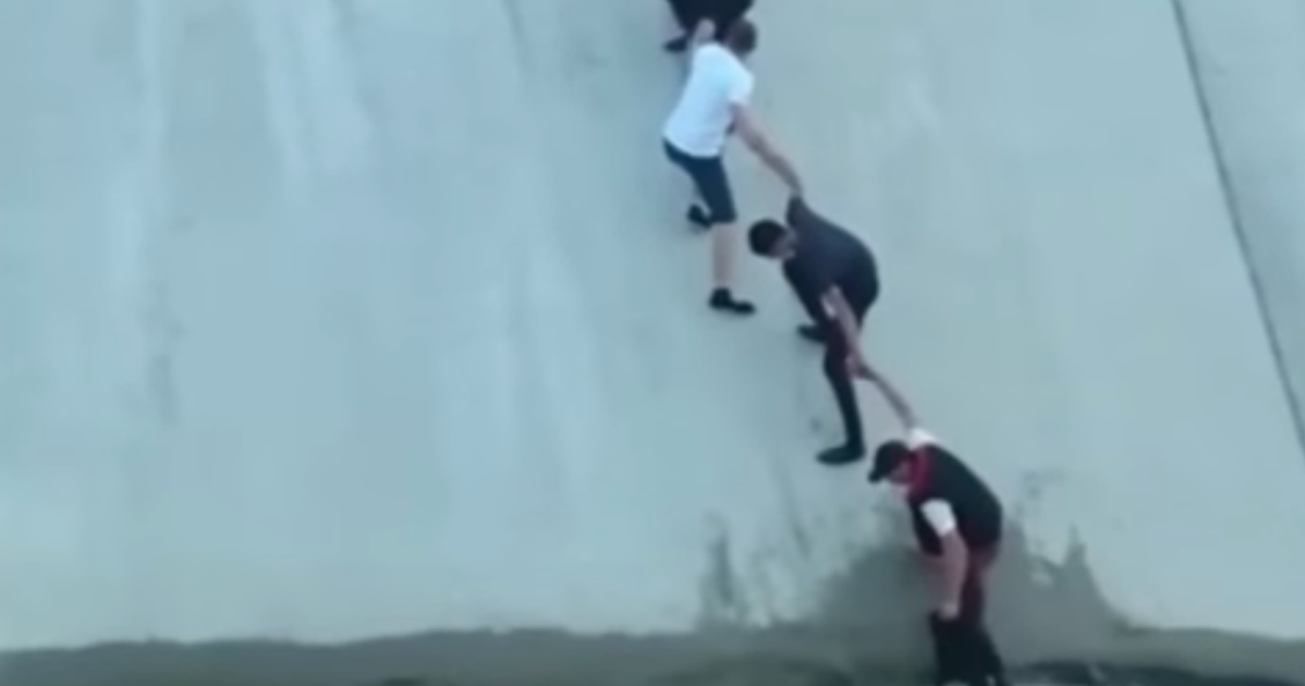 Human Chain Pulls Dog Out Of Deep Channel In Heartwarming Rescue ...