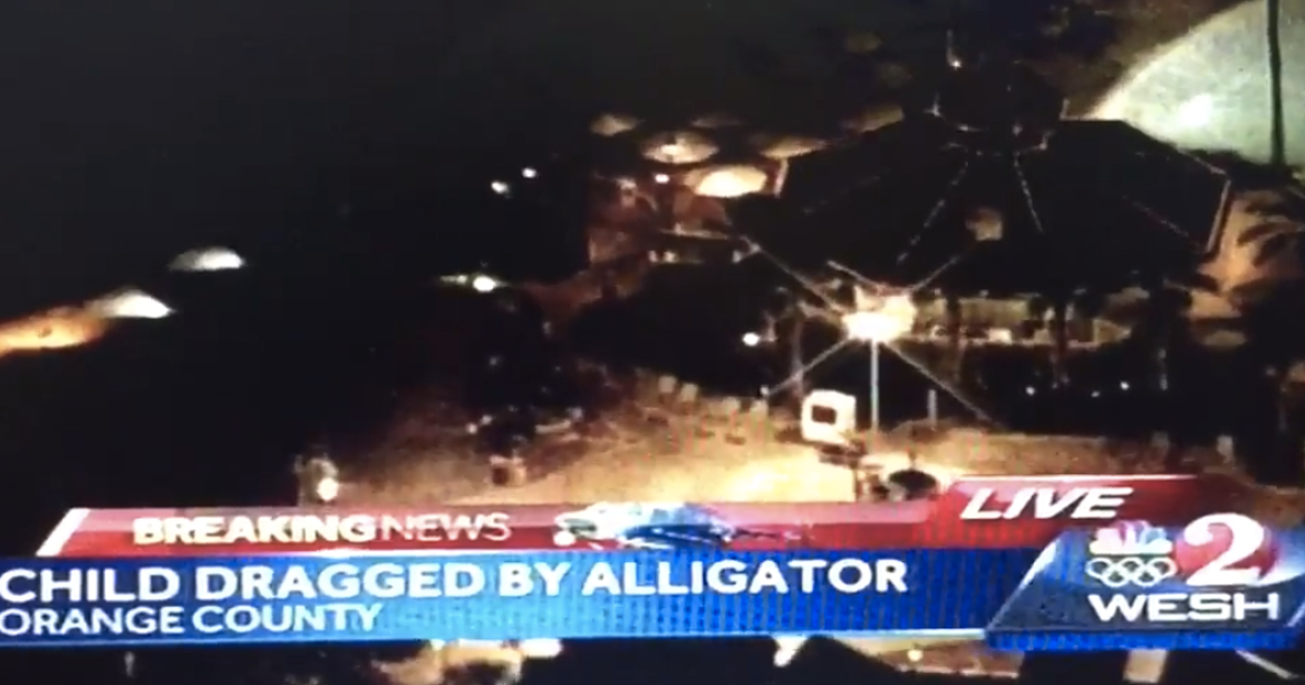 Authorities Find Body Of Toddler Snatched By Gator Near Disney Resort ...